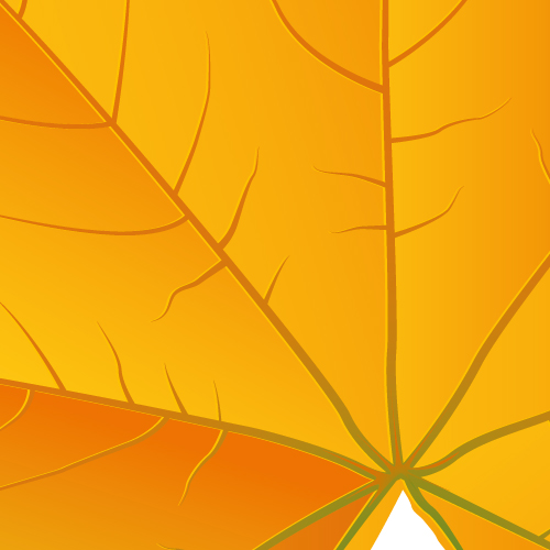 How to Draw a Fall Leaf Using Adobe Illustrator